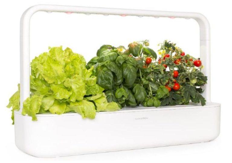 A Comprehensive Guide to Home Vegetable Growing Systems for Every Gardener