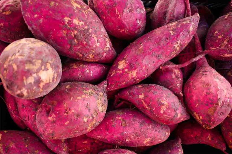 5 Examples of Tuber Crops: A Guide to Growing and Harvesting