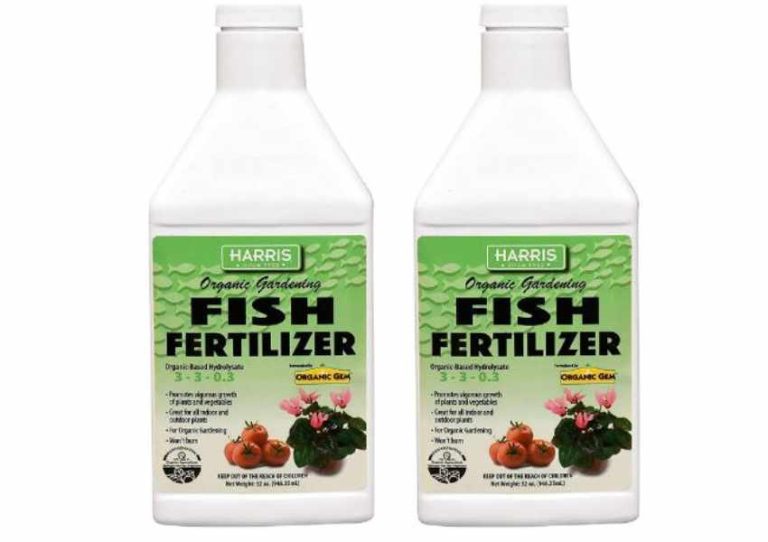 Choosing the Best Liquid Fertilizer for Vegetables to Boost Your Harvest