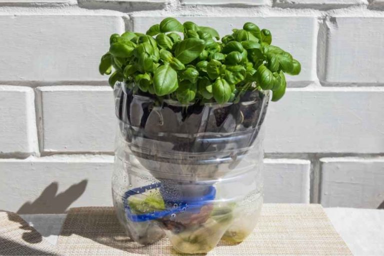 9 DIY Automatic Watering System for Indoor Plants: A Step-by-Step Guide