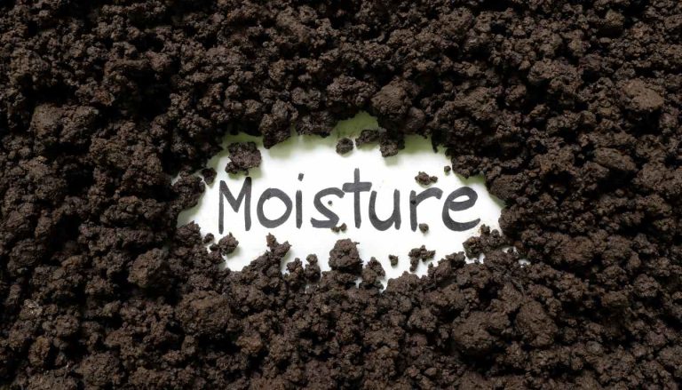 Mastering How to Retain Moisture in Soil: A Quick Guide