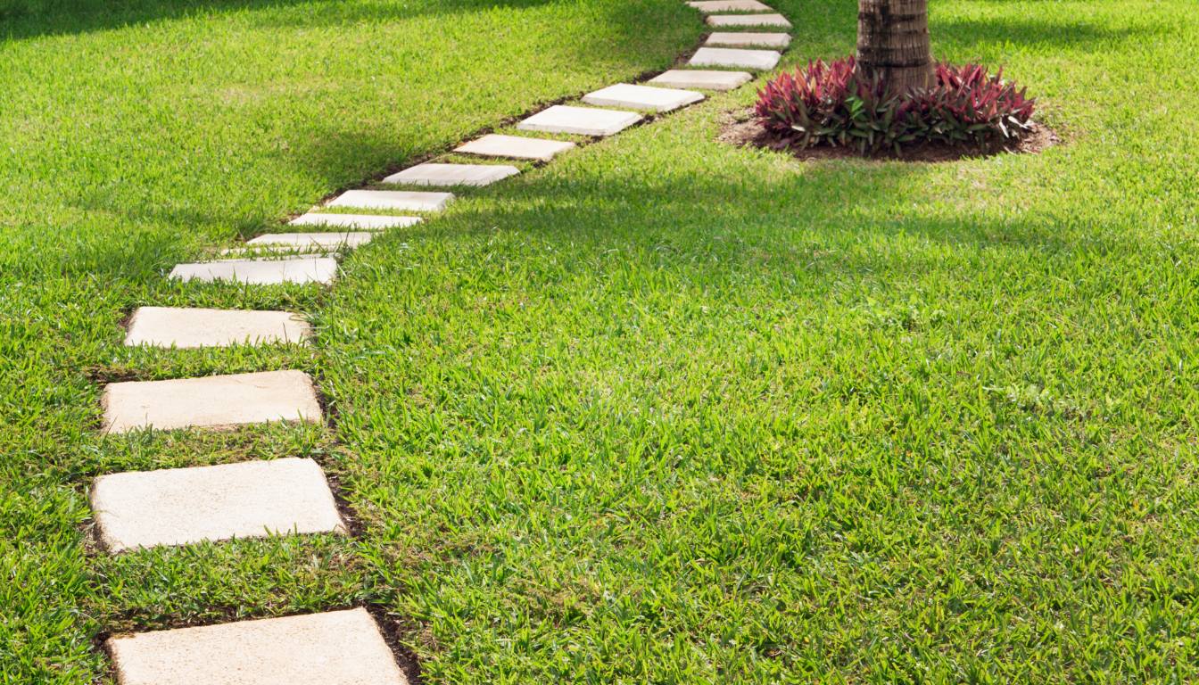 22 Easy and Cheap Walkway Ideas for a Charming Garden