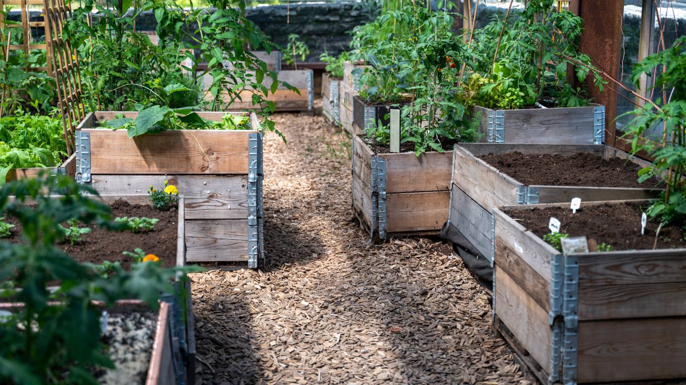 15 Ingenious Kitchen Garden Ideas to Cultivate Freshness Right at Home